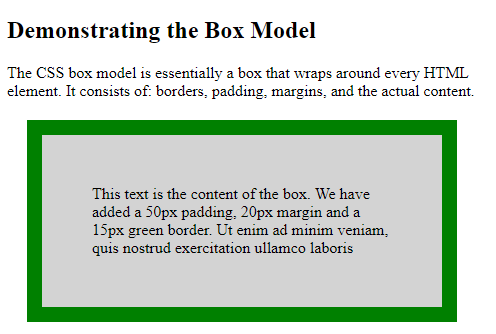 Box Model در CSS | آتریا